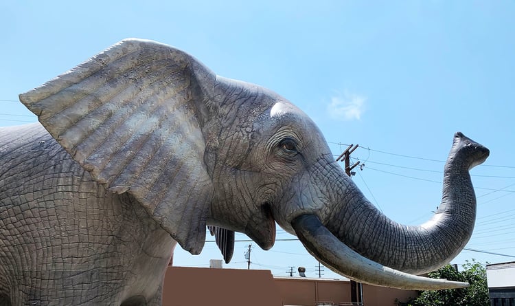 Realistic Elephant