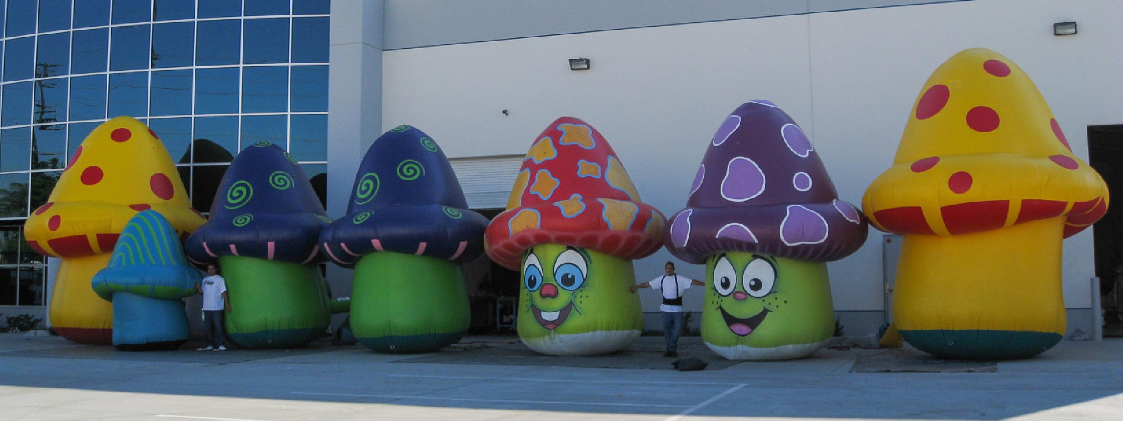 Wonderland Inflatables